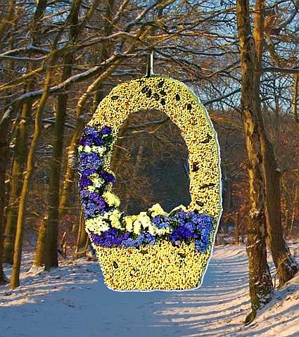 Edible Bird Feeders, Bird Seed Wreaths, Bird Seed Ornaments at Songbird ...