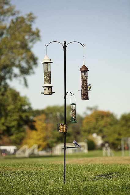Panacea Bird Feeding Station and Garden Arbor, Quality Heavy-Duty ...