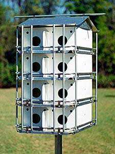 Purple Martin House Accessories, Poles, Parts and Equipment for Purple ...
