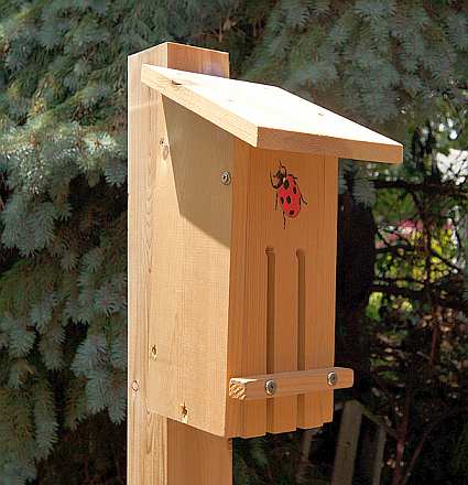 Bamboo Ladybug House