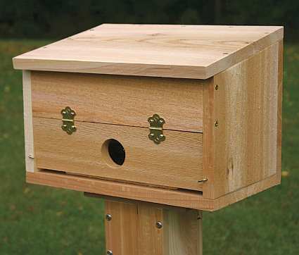 Woodpecker Houses, Flicker Houses, Nest Boxes For Woodpeckers, Northern ...
