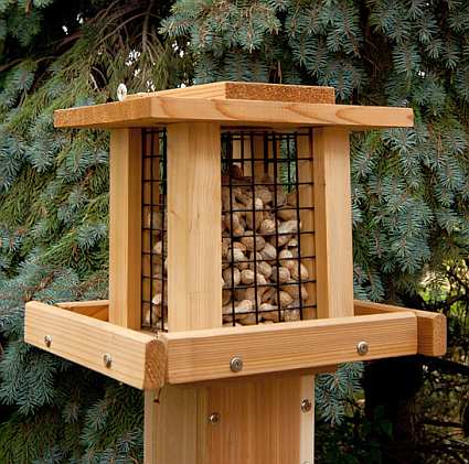 Squirrel Feeders, Quality Squirrel Feeders For Feeding Backyard ...